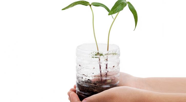 Know How – Nano-crystalline Cellulose as a Packaging Material