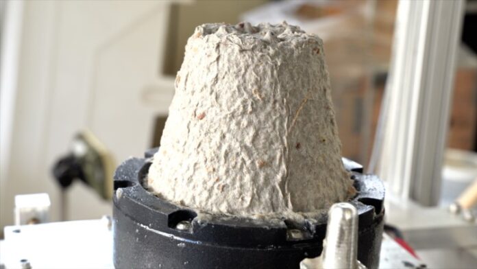 Innovative research that turns apple waste into packaging material