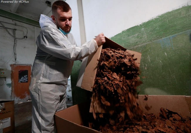 Fallen Tree Leaves Turn into Paper by Ukrainian Student