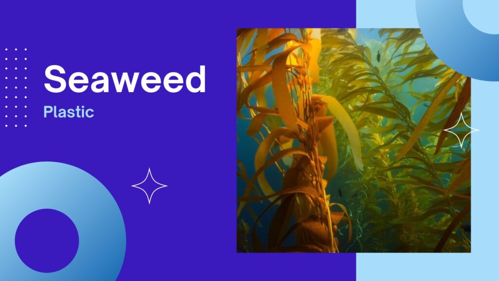 Overview on fluorination of HDPE container | Plastic fluorination process