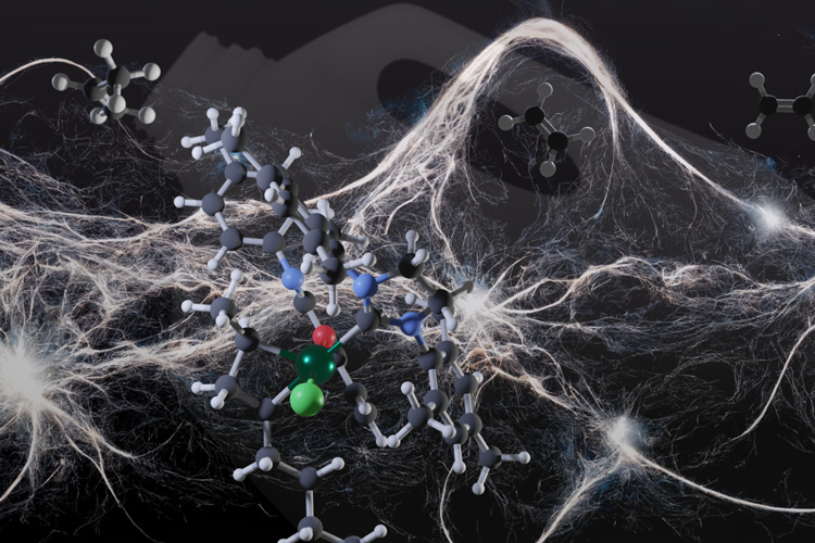 The story about FASSI and the changes in the non-veg logo